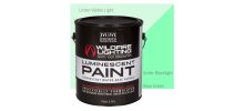 Wildfire Invisible Luminescent Paints | Acrylic Black Light Paints