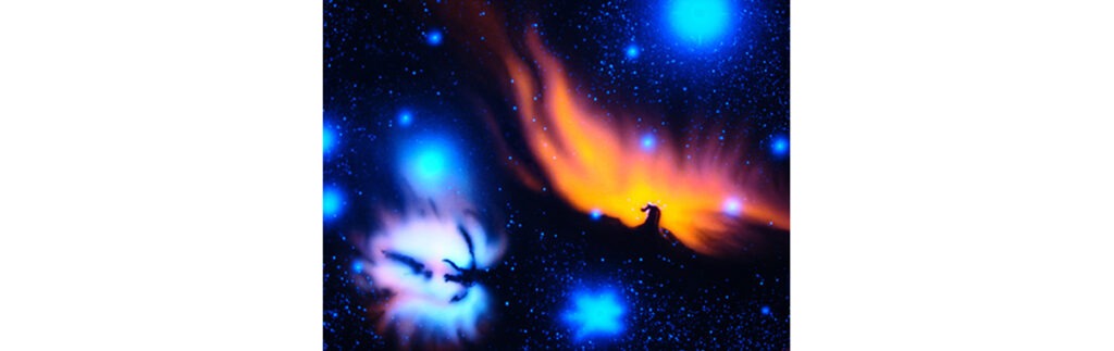 Black Light Scenic Services | Wildfire Lighting UV Scenic Services